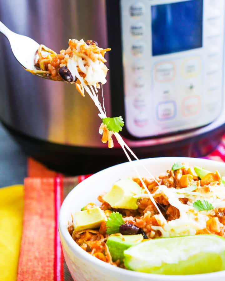 Instant Pot Recipes - Pip and Ebby