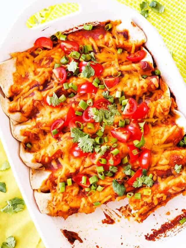 Homemade Red Sauce Over Chicken Enchiladas Pip And Ebby