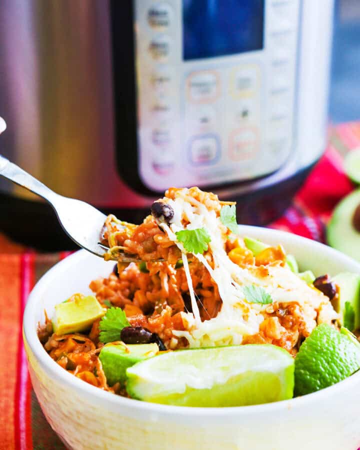 Instant Pot Recipes - Pip and Ebby