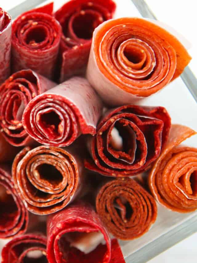 Homemade Fruit Roll Ups Story - Pip and Ebby