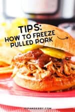 How To Freeze Pulled Pork - Pip and Ebby